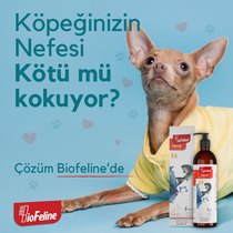 Biofeline